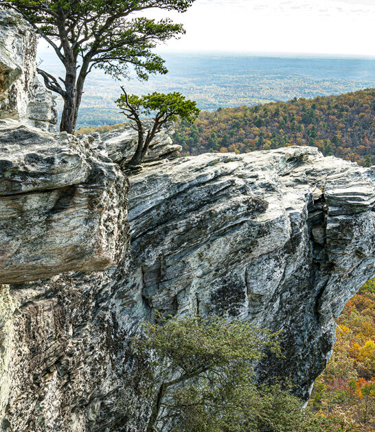 north carolina parks visit ftr