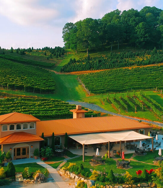 north-carolina-winery-trip-FTR