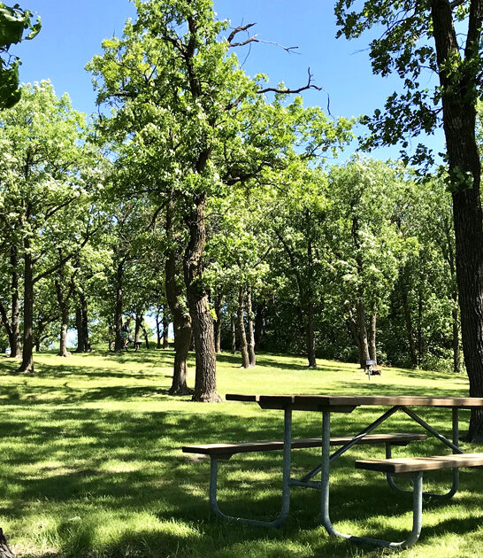 north dakota dreamy park ftr