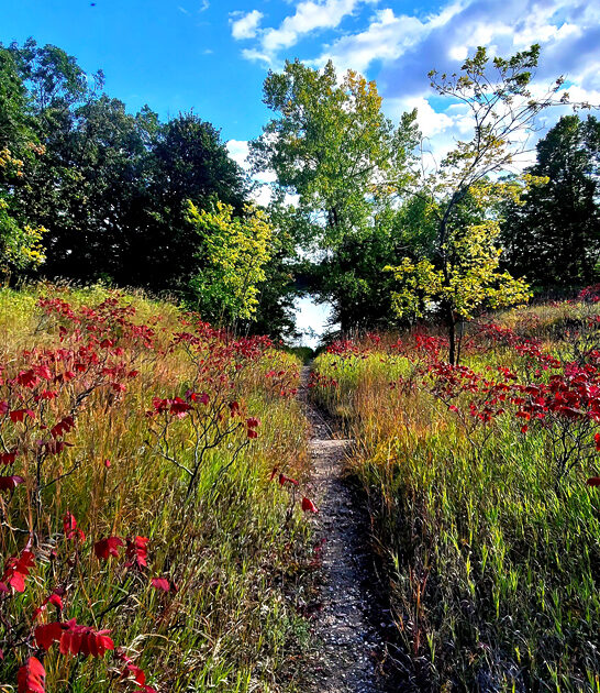 north dakota park destination ftr