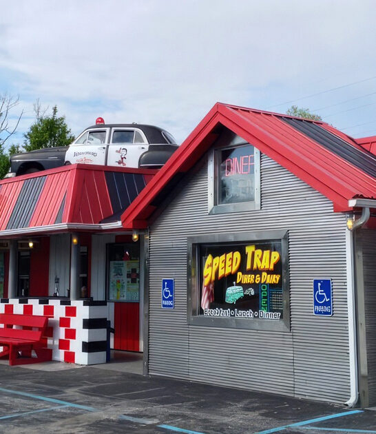 ohio diner rings onion ftr