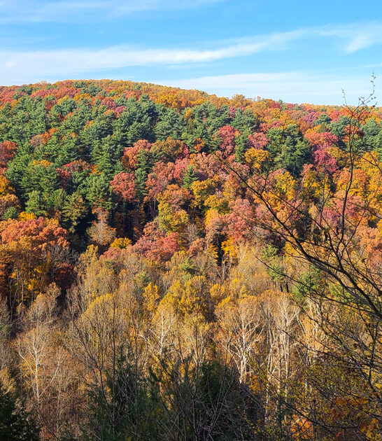 ohio escape state park ftr