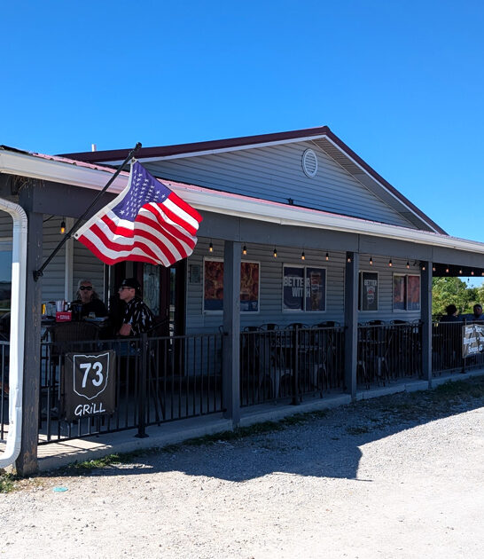 ohio loaded fries delight ftr
