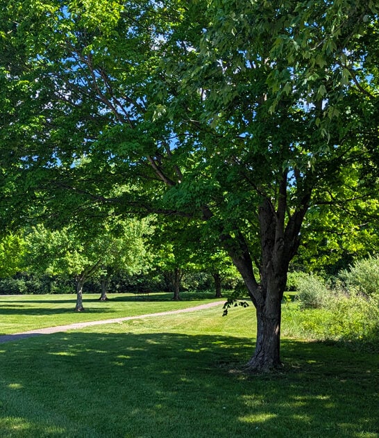 ohio photogenic state park ftr