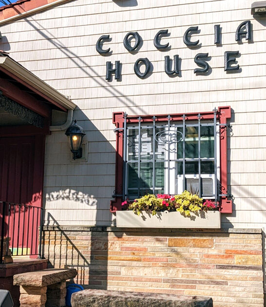 ohio pizzeria provolone sticks ftr