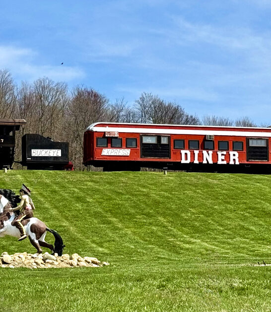 ohio wacky diner experience ftr