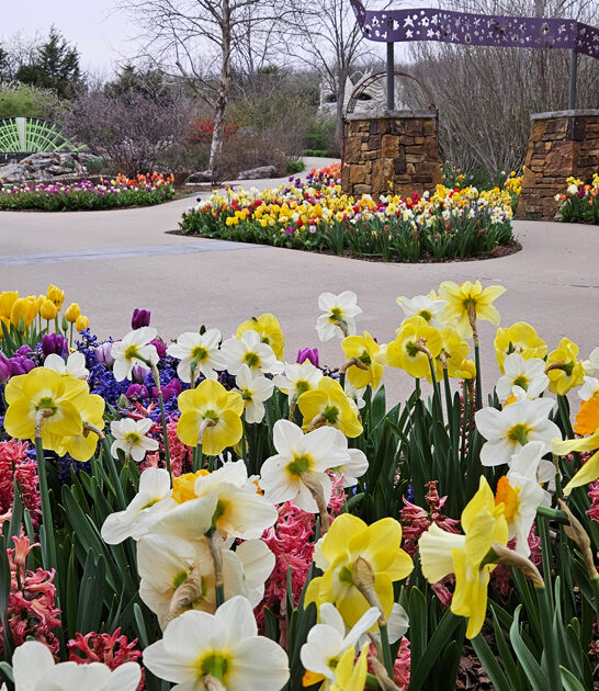 oklahoma magical botanical garden ftr