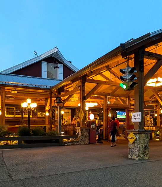 onion soup carolina north ftr