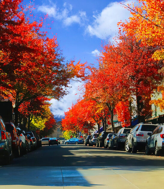 oregon low cost cities ftr