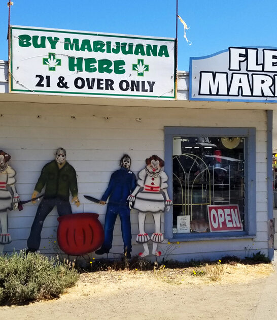 oregon rare flea market ftr
