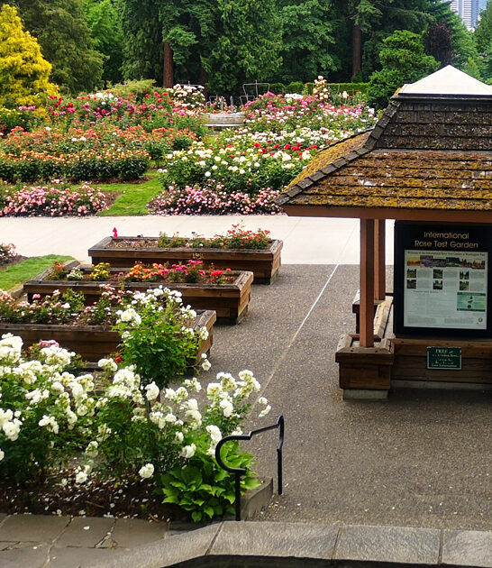 oregon rose garden escape ftr