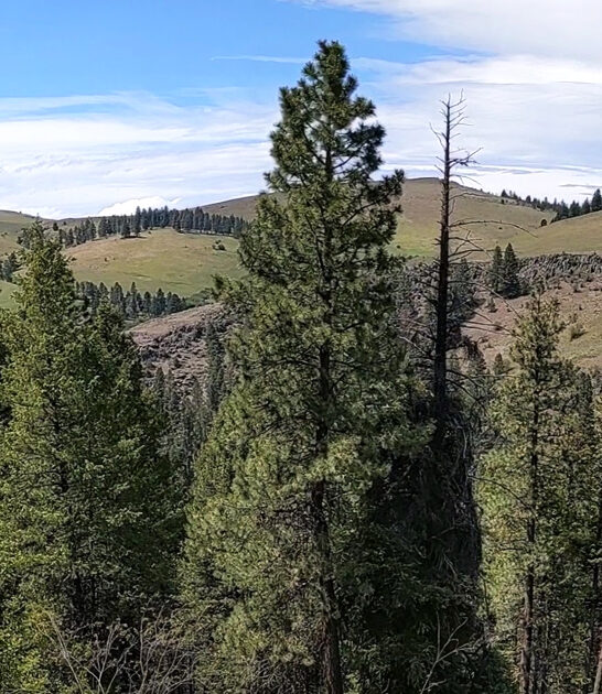oregon state park scenic ftr