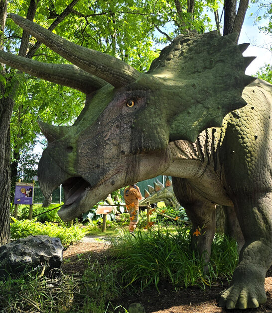 outdoor pennsylvania animal encounter ftr