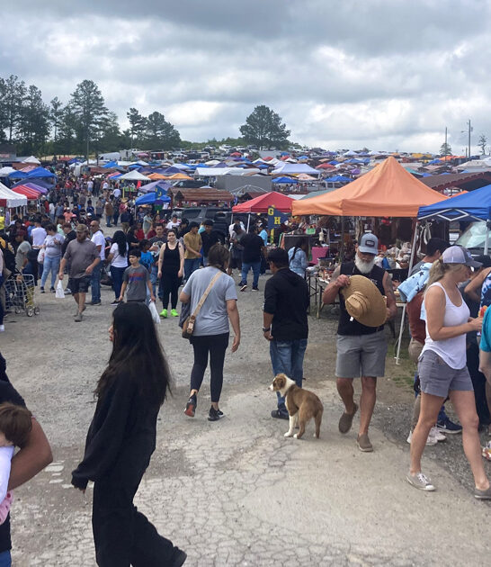 outrageous deals market alabama ftr