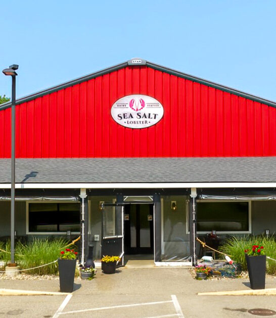 outrageously delicious clams maine ftr