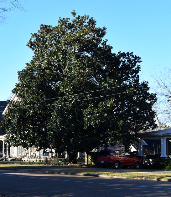 overlook small towns mississippi ftr