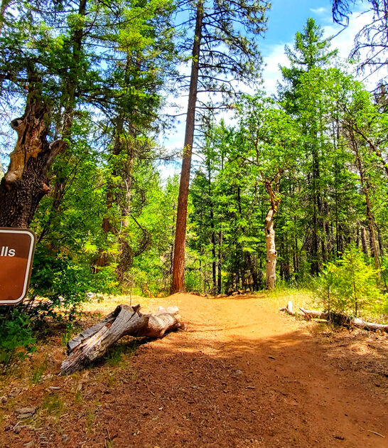 park california living postcard ftr