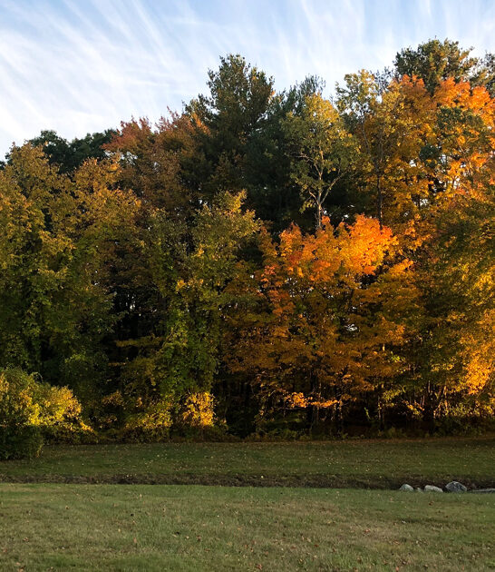park delightful massachusetts dream ftr