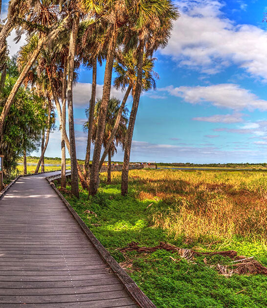 park florida wallet friendly ftr