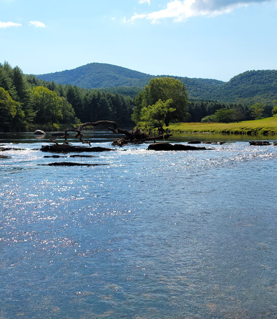 park north carolina ultimate ftr