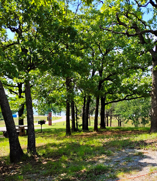 park oklahoma nature lovers FTR