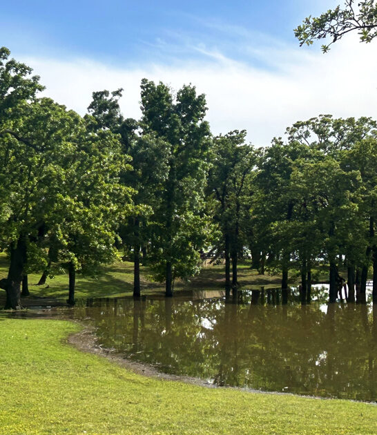 park oklahoma picturesque dream FTR