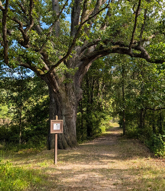 park pennsylvania worries disappear ftr