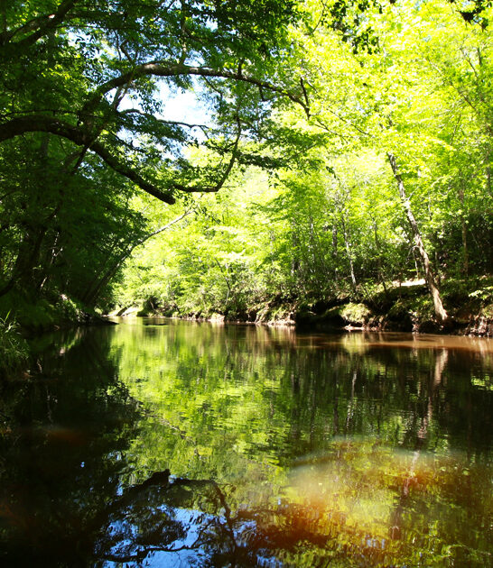 park scenic north carolina ftr