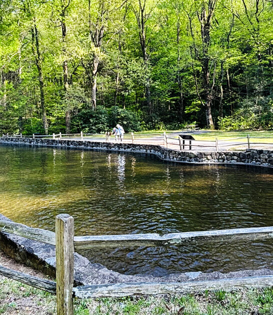 park south carolina painting FTR