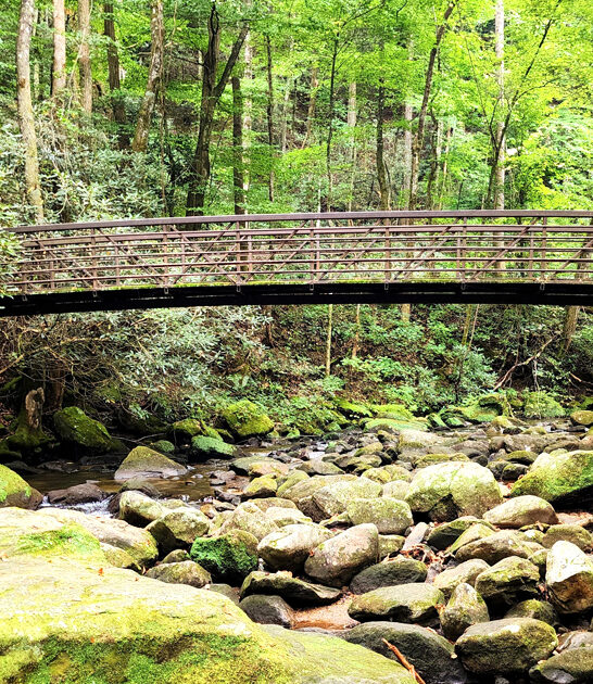 park south carolina trips FTR