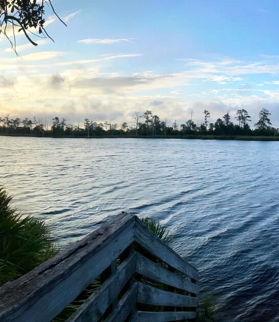 park state florida nature ftr