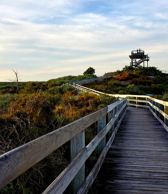 park state stunning florida ftr