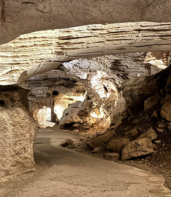 park state texas stunning ftr