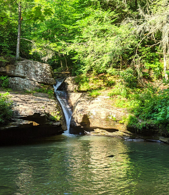 park west nature virginia ftr