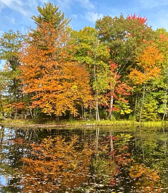 park wisconsin fascinating state ftr