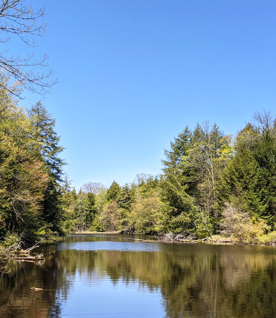 park wisconsin picturesque state ftr