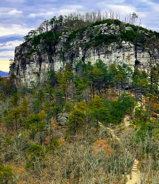 parks north carolina special ftr