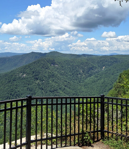 parks south carolina special ftr