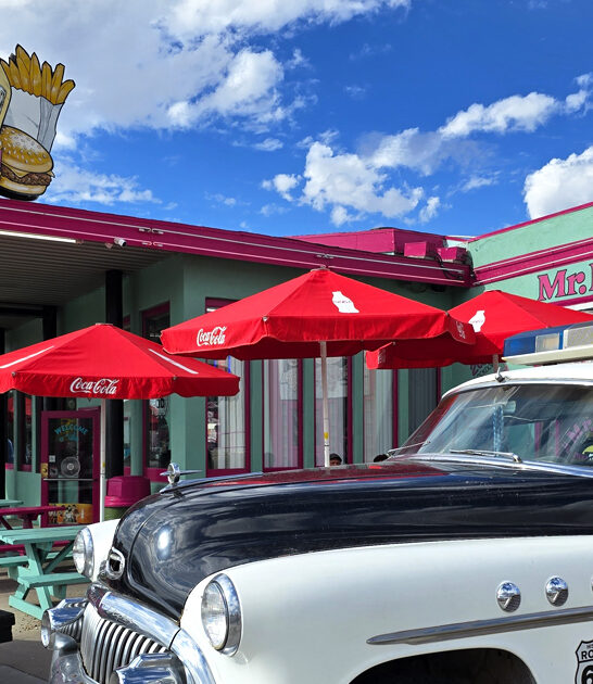 patty melt diner arizona ftr
