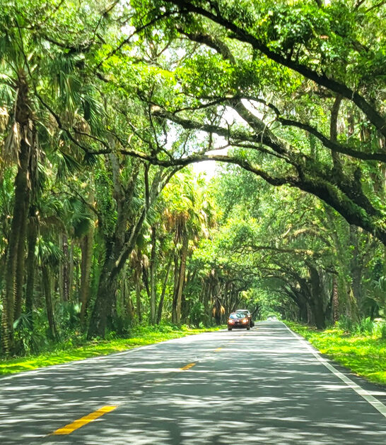 peaceful florida drive journey ftr