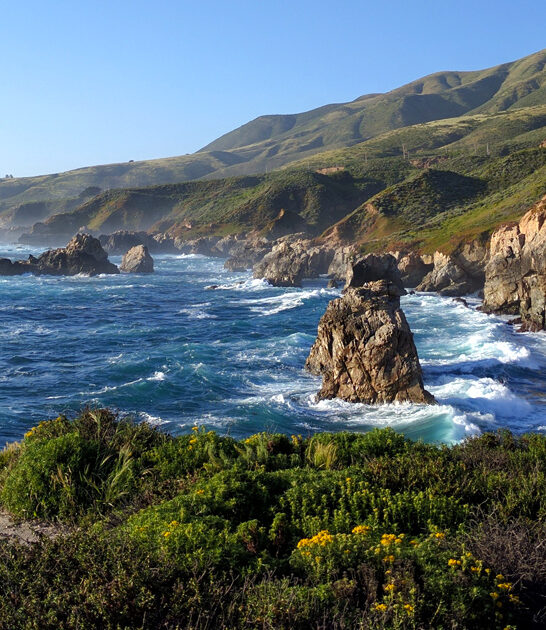 peaceful state park california ftr