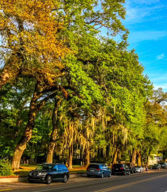 peaceful town louisiana budget FTR