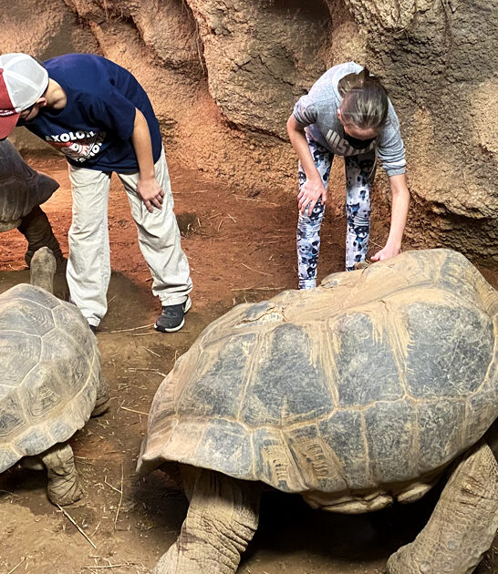 pennsylvania animal wonderland escape ftr
