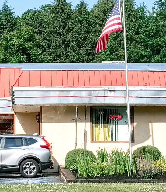 pennsylvania diner chicken soup ftr