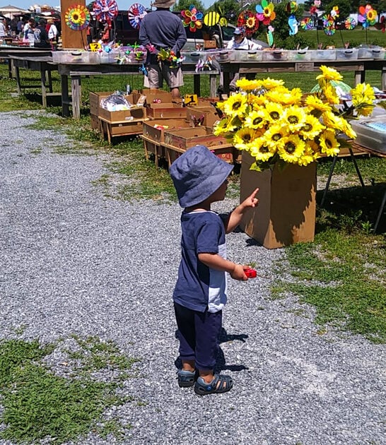 pennsylvania friday sale feels ftr