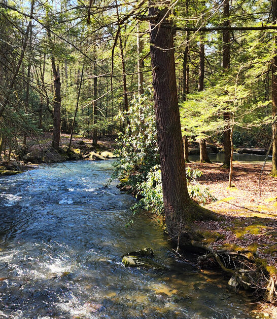 pennsylvania getaway state park ftr
