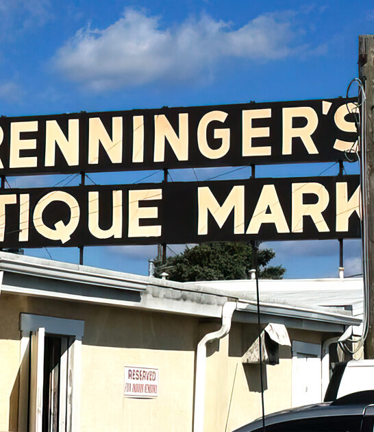 pennsylvania giant vintage store ftr