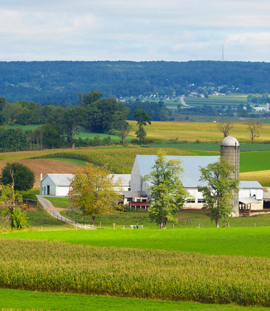 pennsylvania homemade food towns ftr