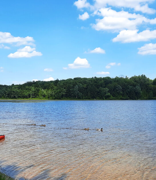 pennsylvania kept state park ftr