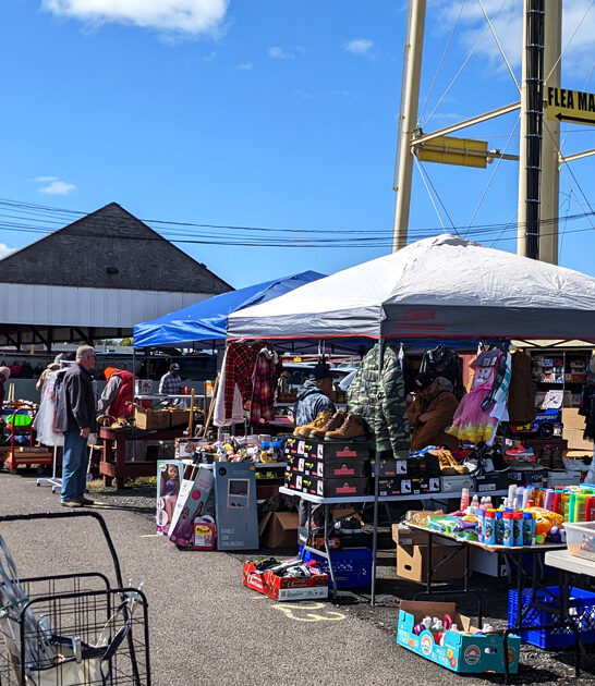 pennsylvania market flea amazing ftr